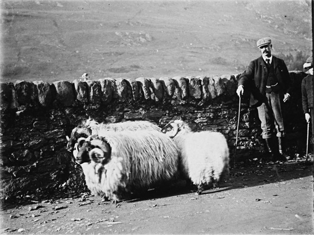 Gallery - Parlane MacFarlane's pictures of Arrochar, Stronafyne, Loch ...